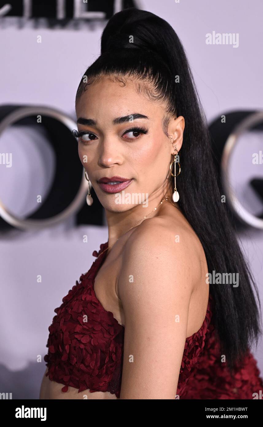 Cassie Hairstyle 2022