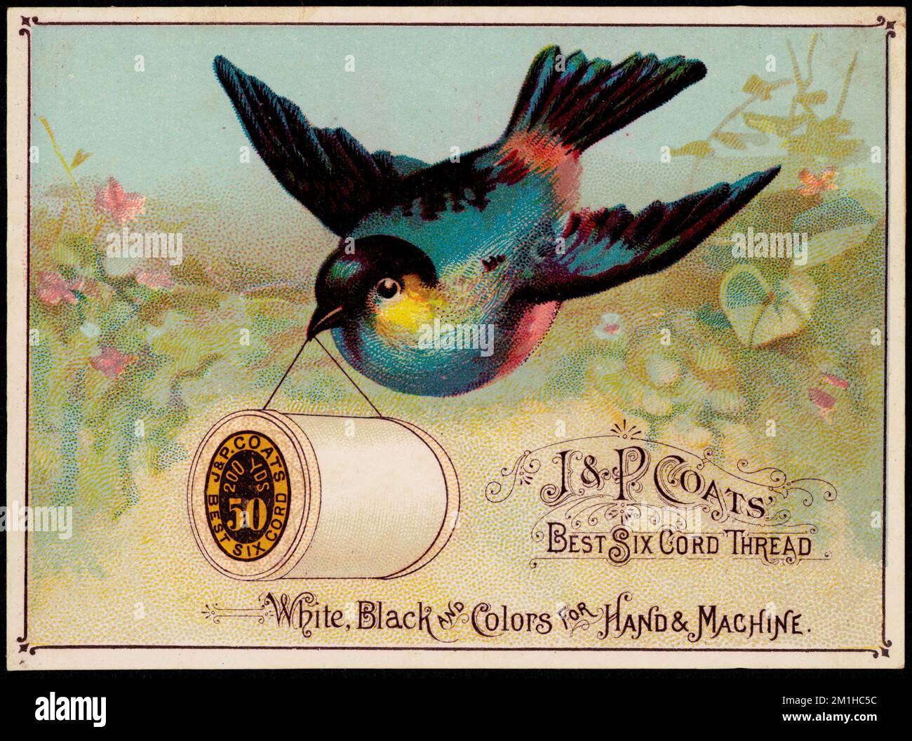 J. & P. Coats' best six cord thread, white, black and colors for hand ...