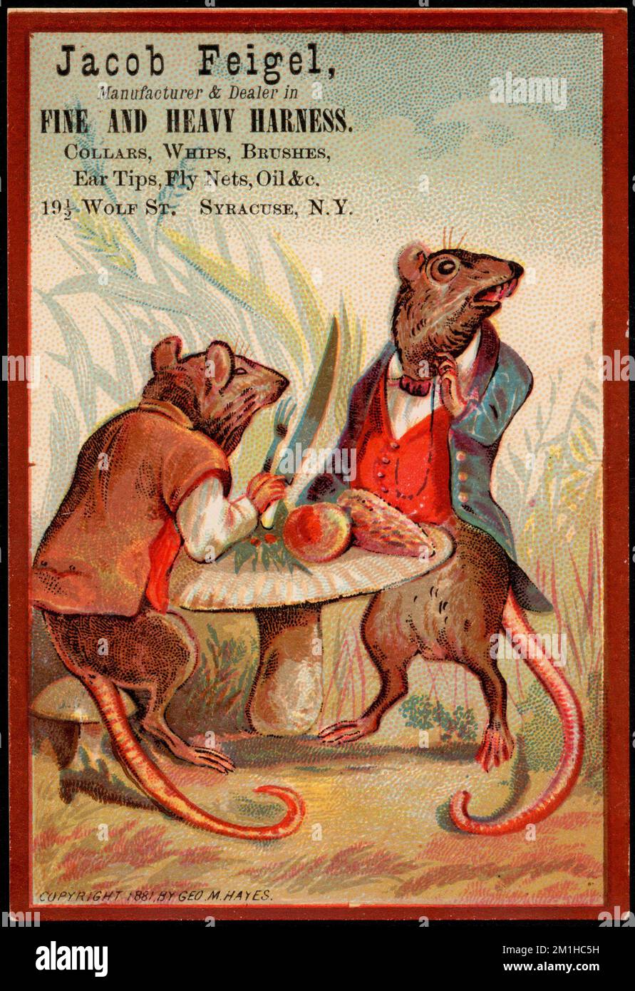 Y harness hi-res stock photography and images - Alamy