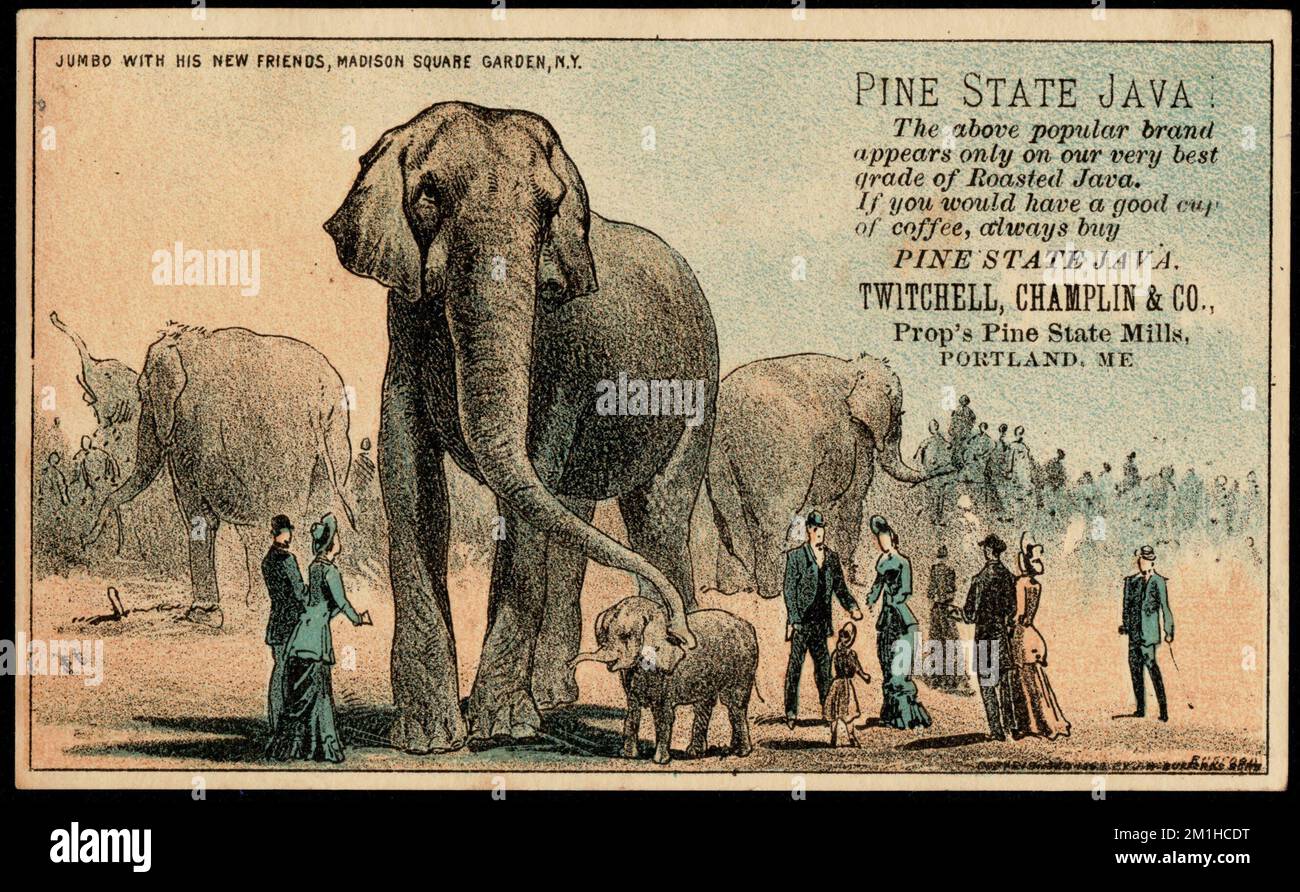 Jumbo with his new friends, Madison Square Garden, N. Y. - Pine State ...