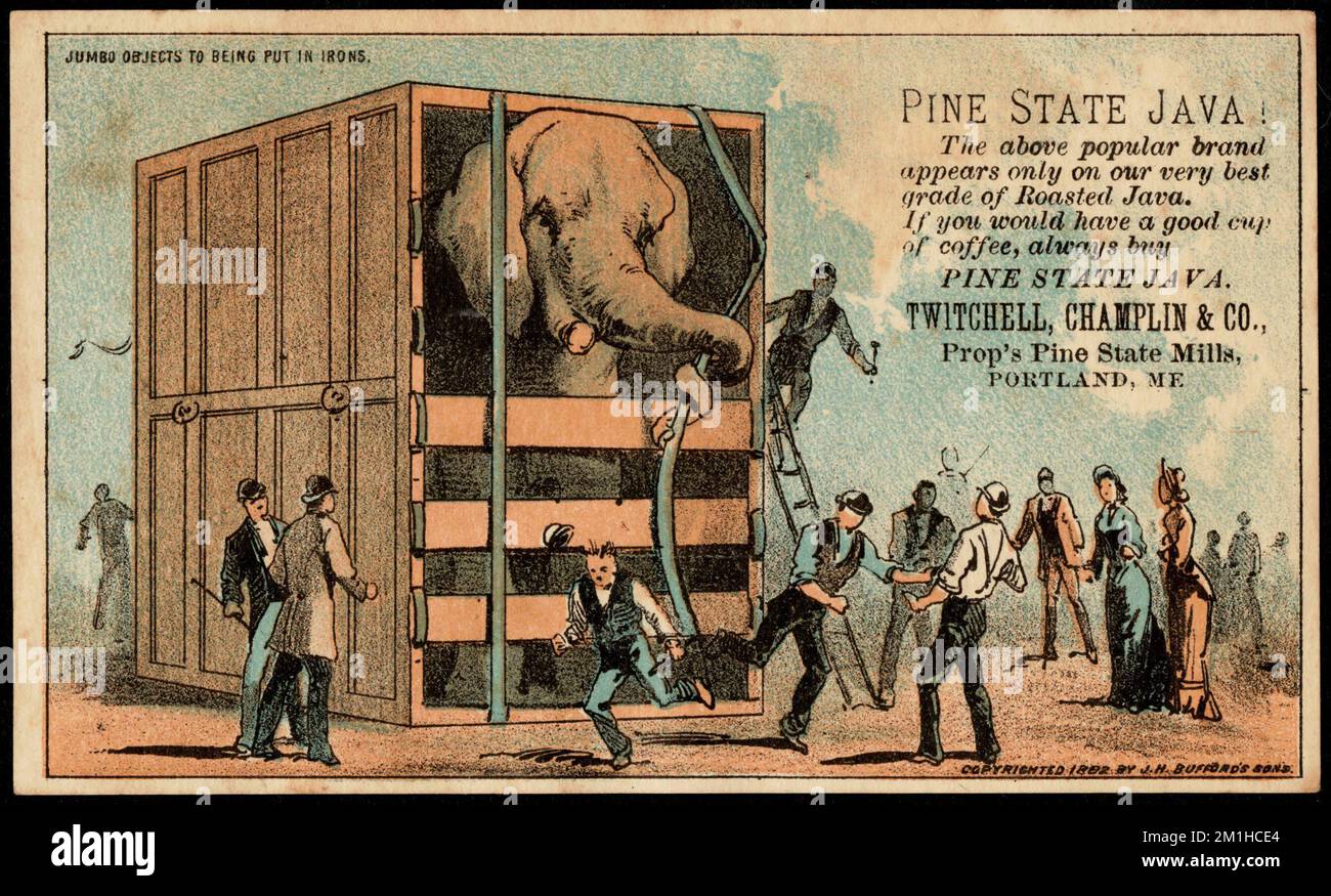 Jumbo objects to be being put in irons. - Pine State Java. , People ...