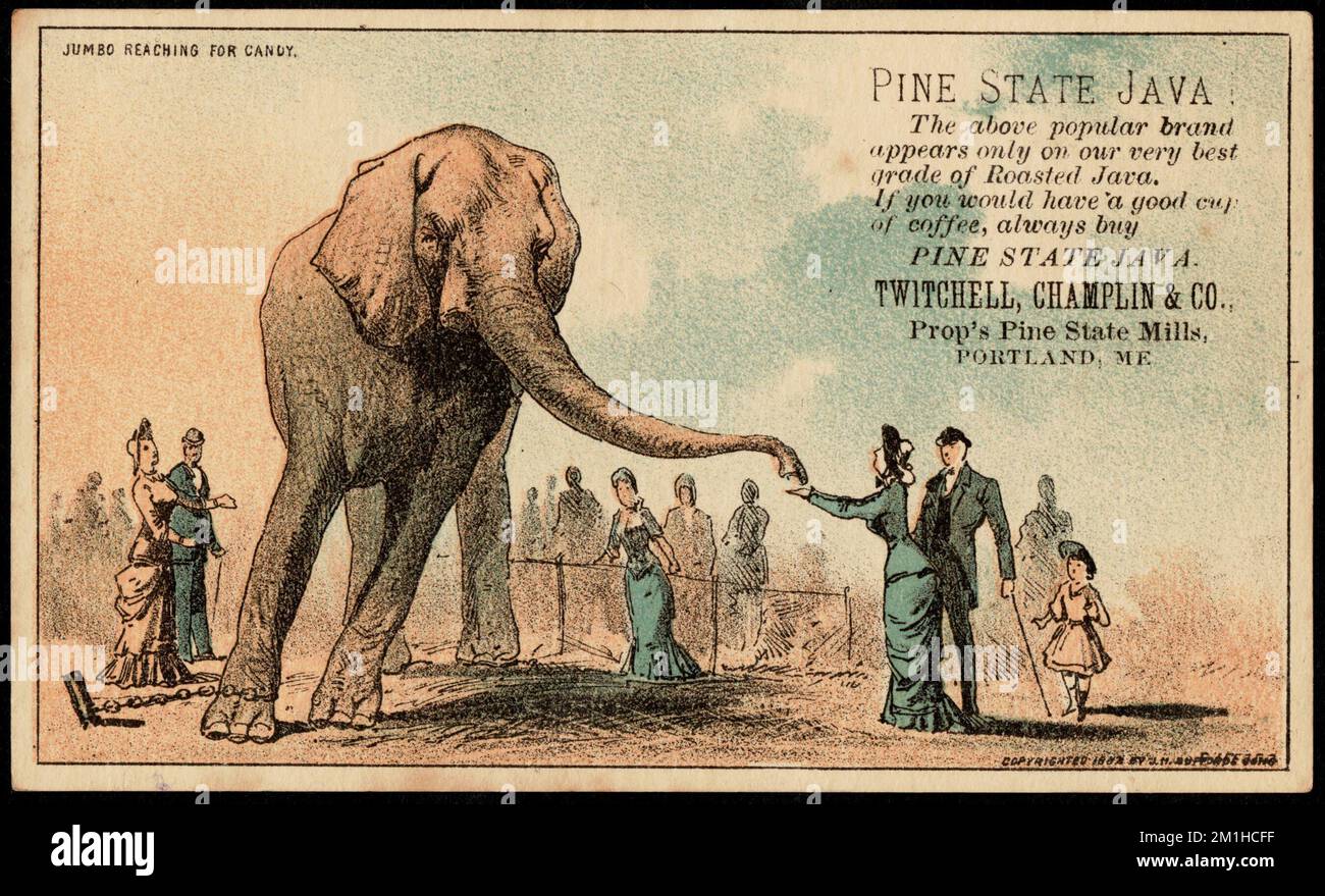 Jumbo reaching for candy. - Pine State Java. , People, Elephants ...