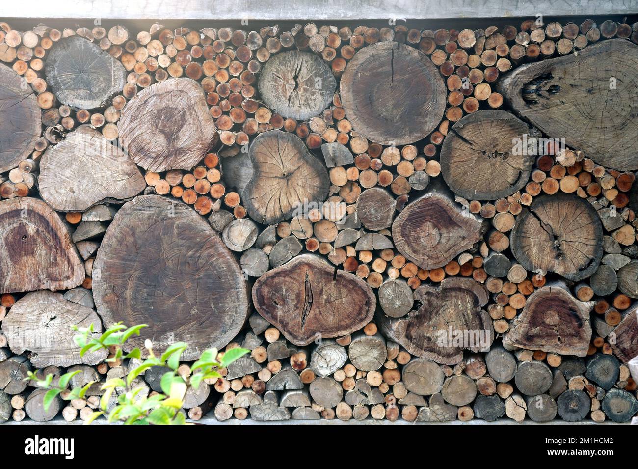 Texture and background of wooden decorated of a wall building Stock ...