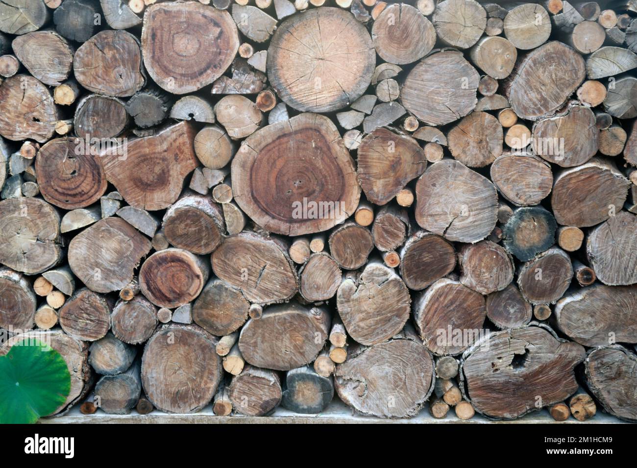 Texture and background of wooden decorated of a wall building Stock ...