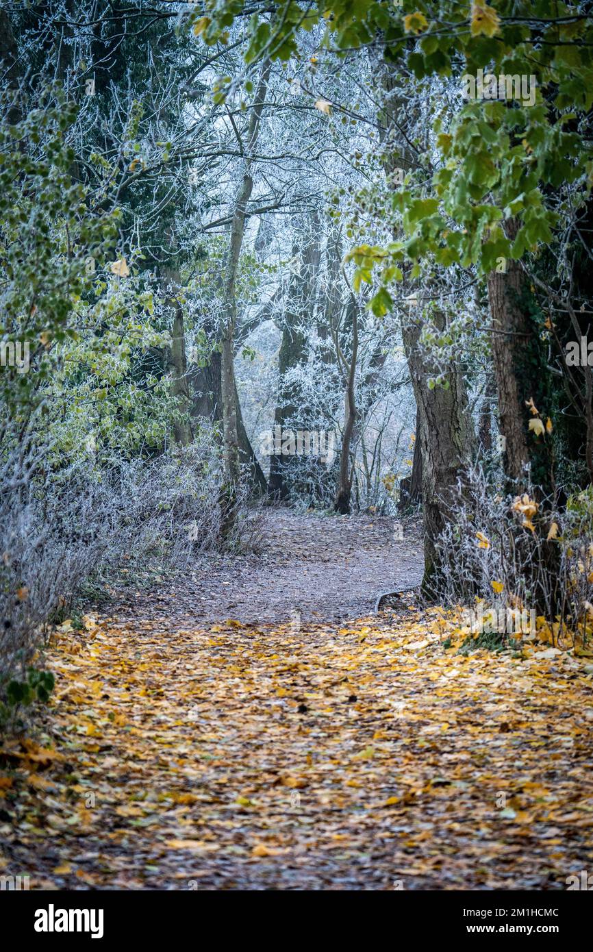 Thatcham nature discovery centre hi-res stock photography and images ...