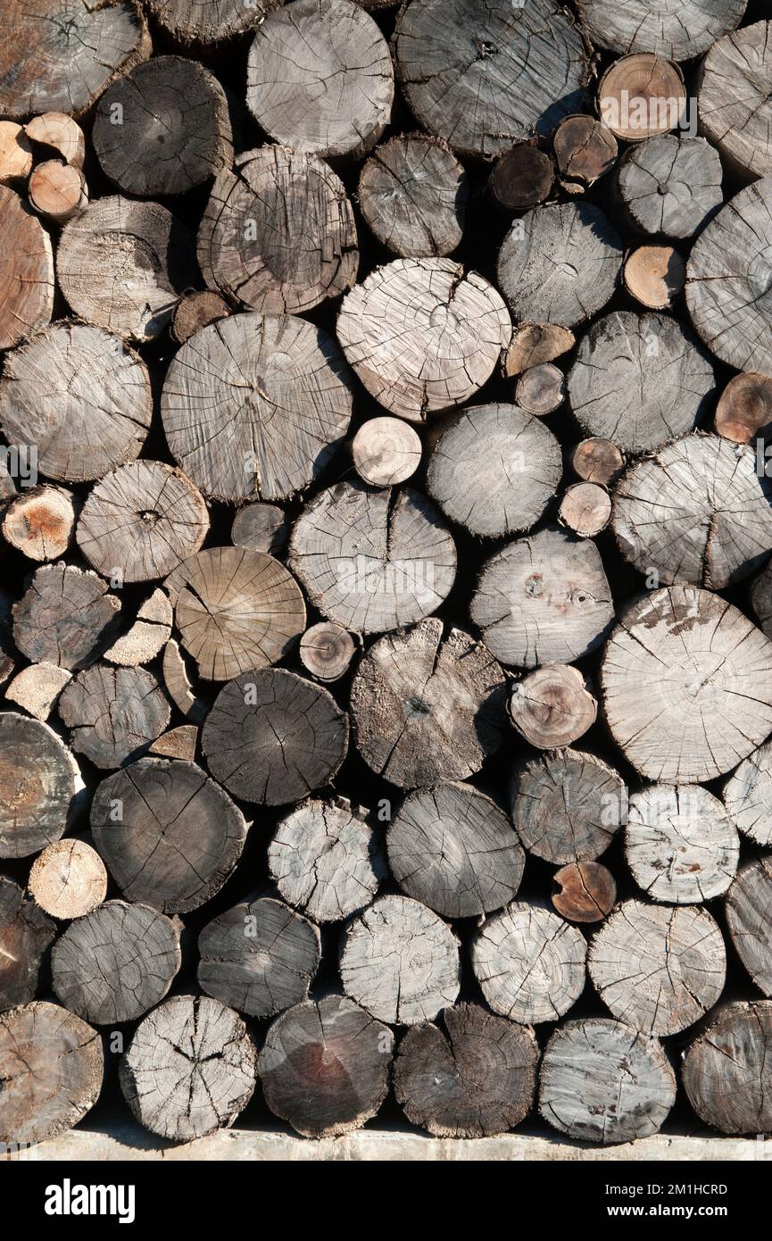 Texture and background of wooden decorated of a wall building Stock ...
