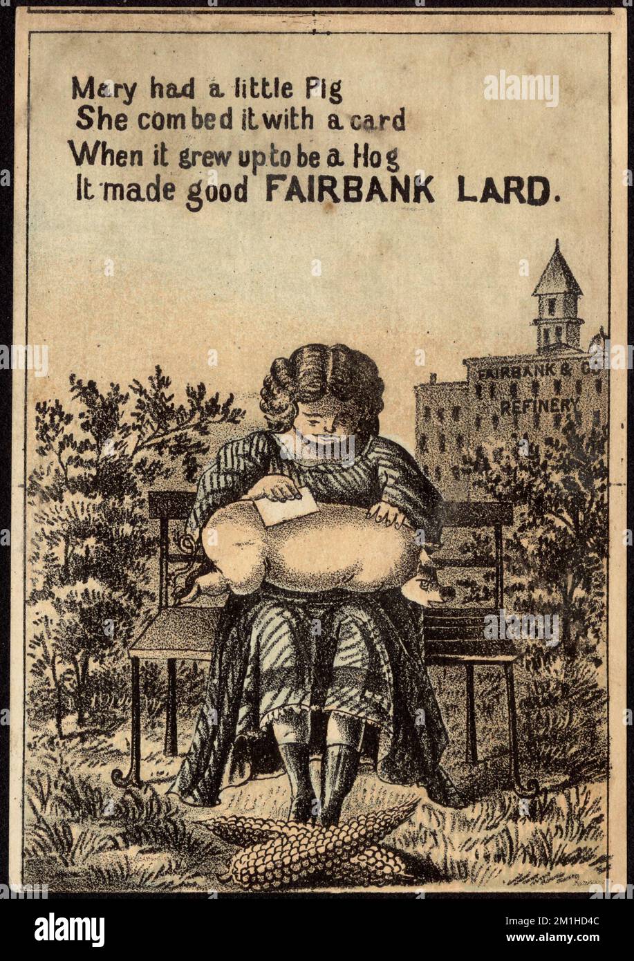 Mary had a little pig, she combed it with a card, when it grew up to be ...