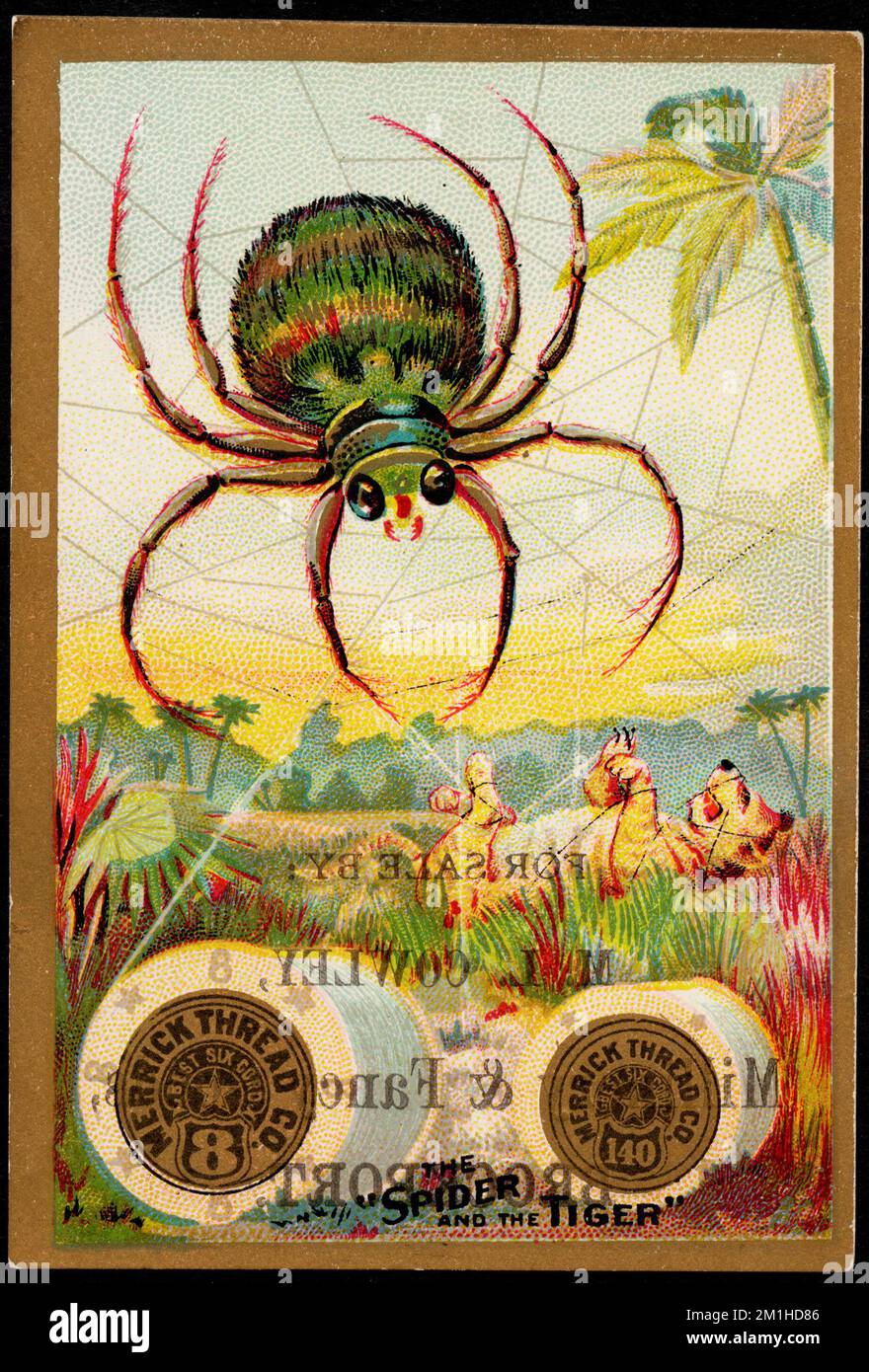 Merrick Thread Co., Best Six Cord 8. The 'spider and the tiger ...