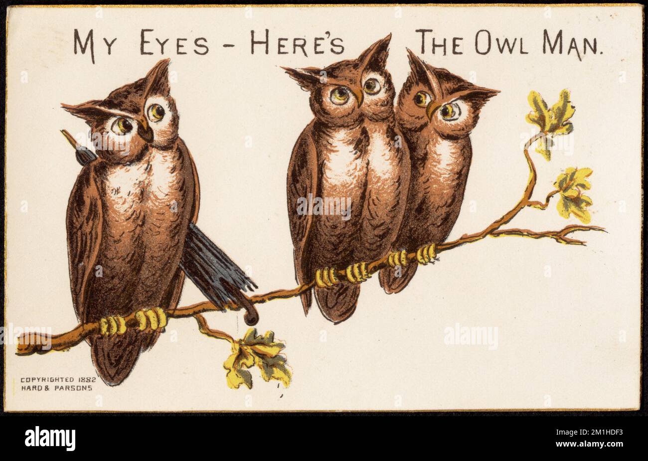 My eyes - here's the owl man. , Owls, 19th Century American Trade Cards ...