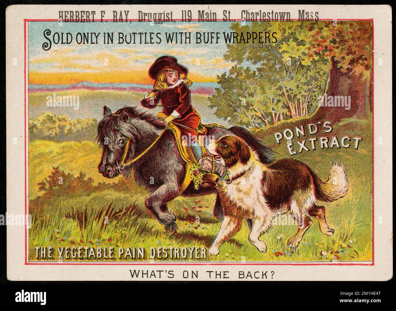 Pond's Extract, sold only in bottles with buff wrappers, the vegetable ...