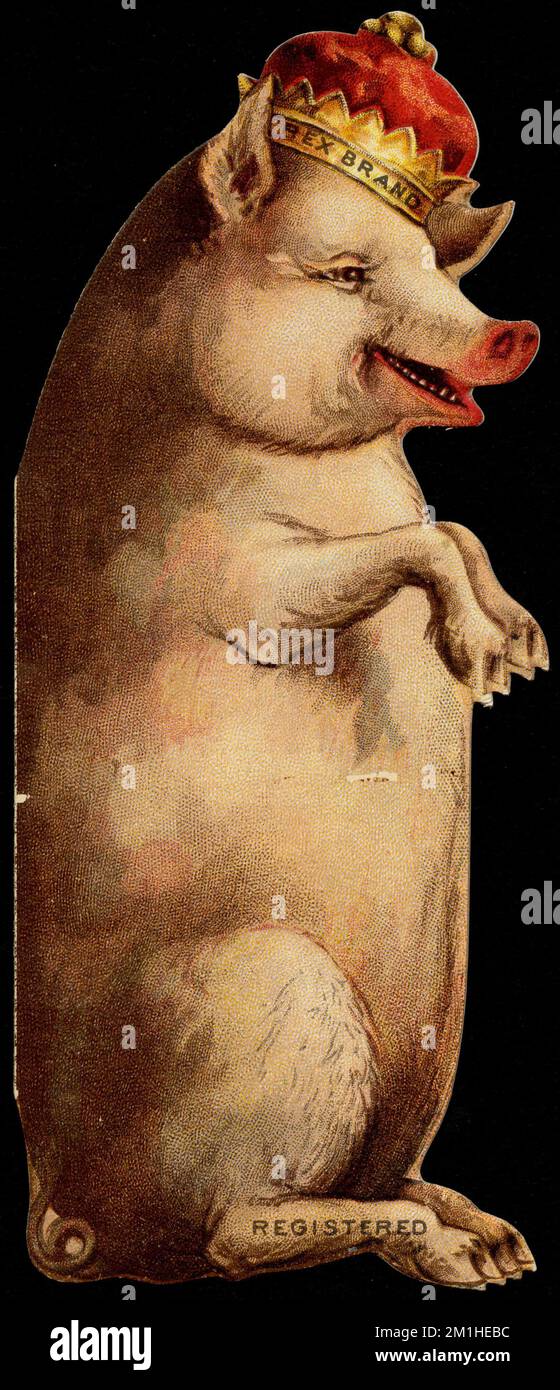 Rex brand - 'Rex brand' sugar cured meats, canned meats, pure leaf lard ...