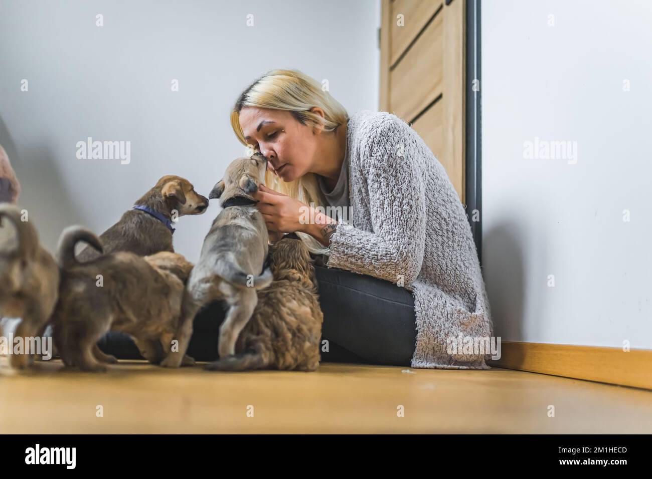Human breed hi-res stock photography and images - Alamy