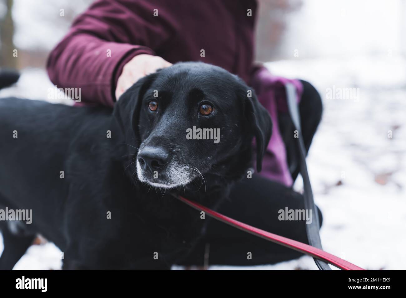 Walk of the sad hi-res stock photography and images - Alamy