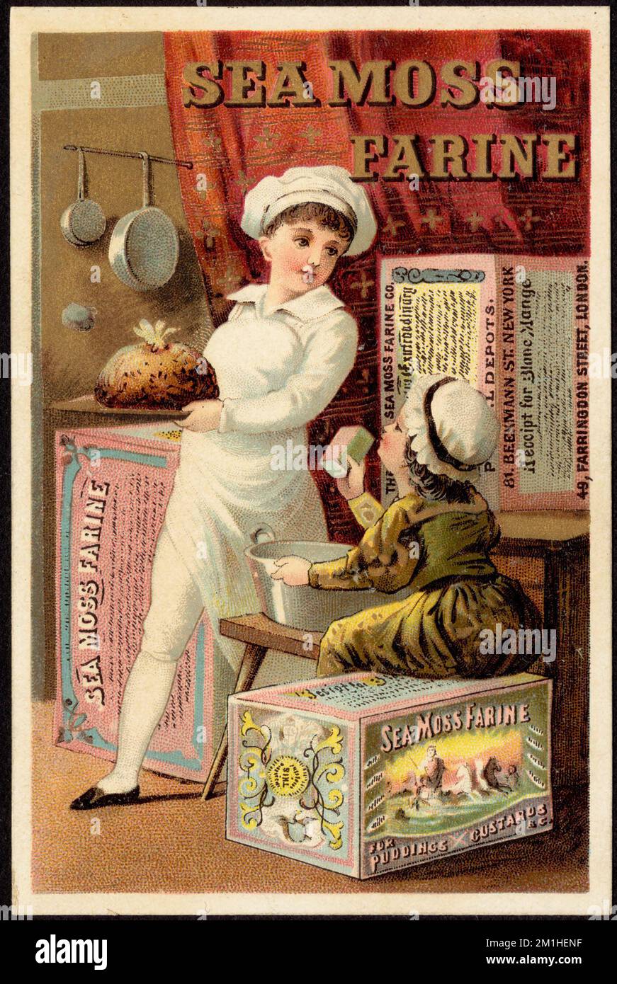 Sea Moss Farine , Cooks, Children, Food, 19th Century American Trade ...
