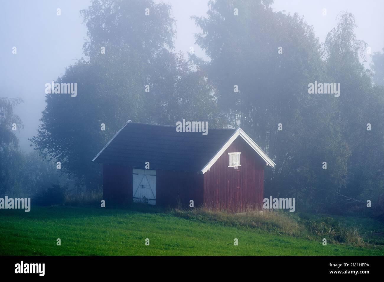A wooden hut barn on a grassland with dense trees and fog Stock Photo ...