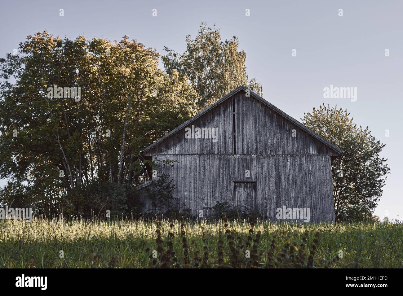 A wooden hut barn on a grassland with green trees under a clear sky ...
