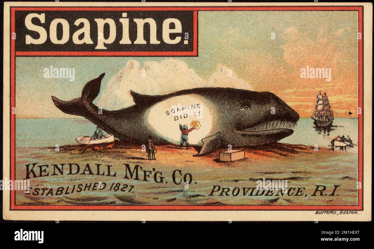 Soapine. Soapine did it , Whales, Beaches, Icebergs, Household soap ...
