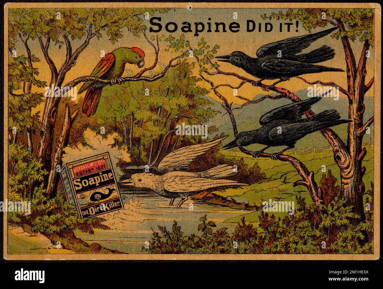 Soapine hi-res stock photography and images - Alamy