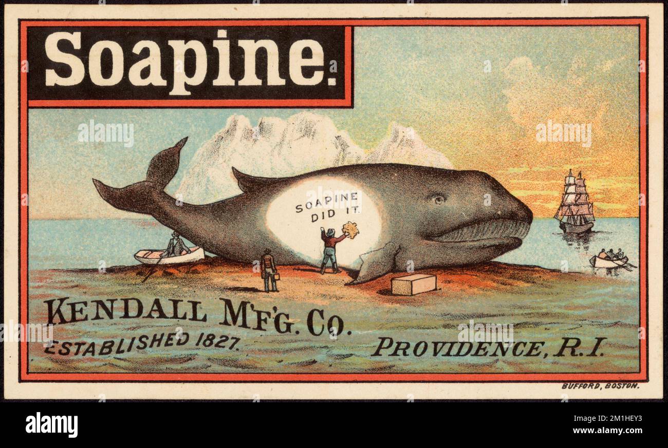 Soapine. Soapine did it , Whales, Beaches, Icebergs, Household soap ...