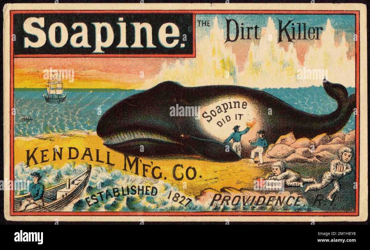 Soapine the dirt killer - Soapine did it , Whales, Beaches, Icebergs ...