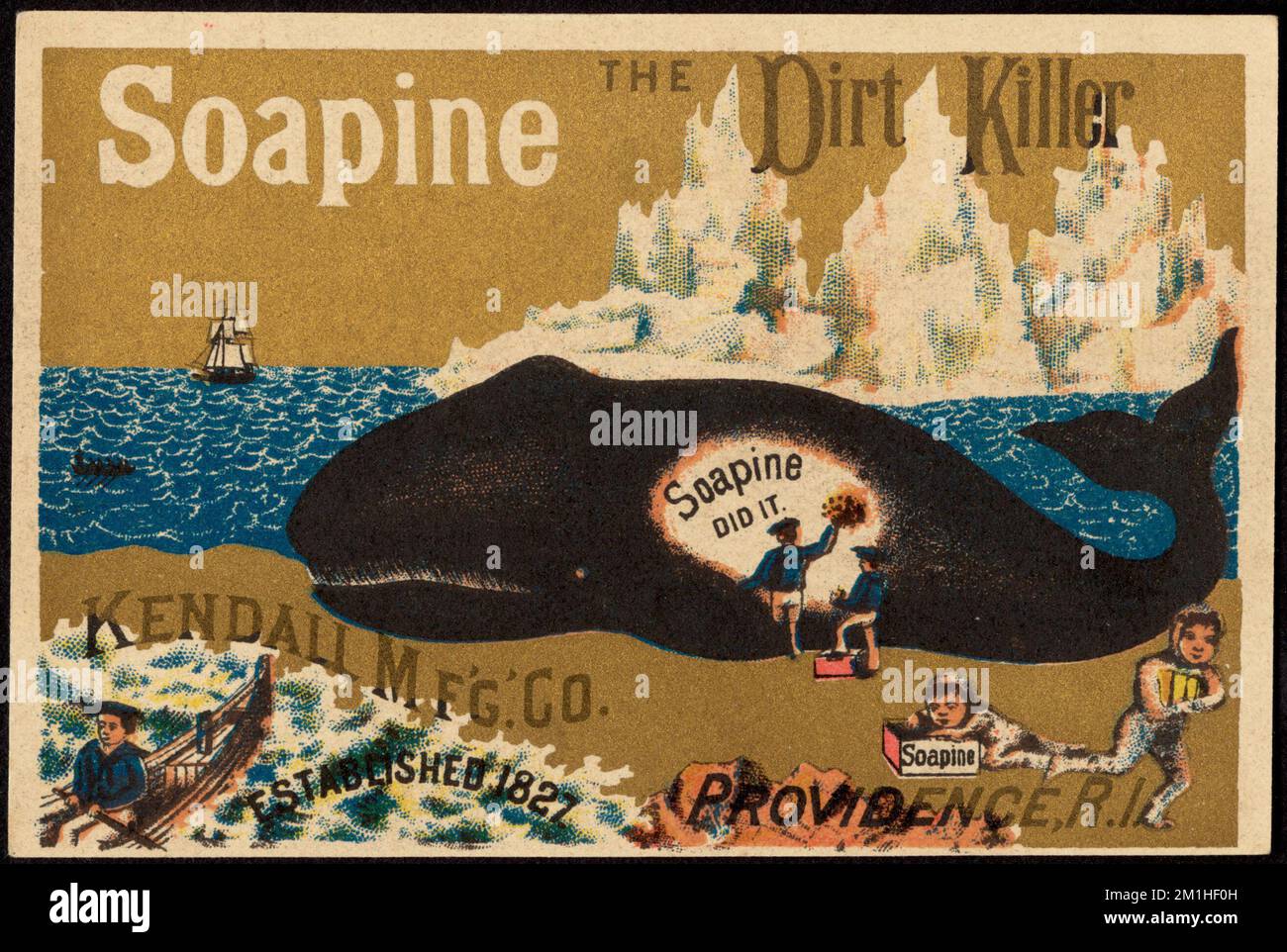 Soapine the dirt killer - Soapine did it , Whales, Beaches, Icebergs ...