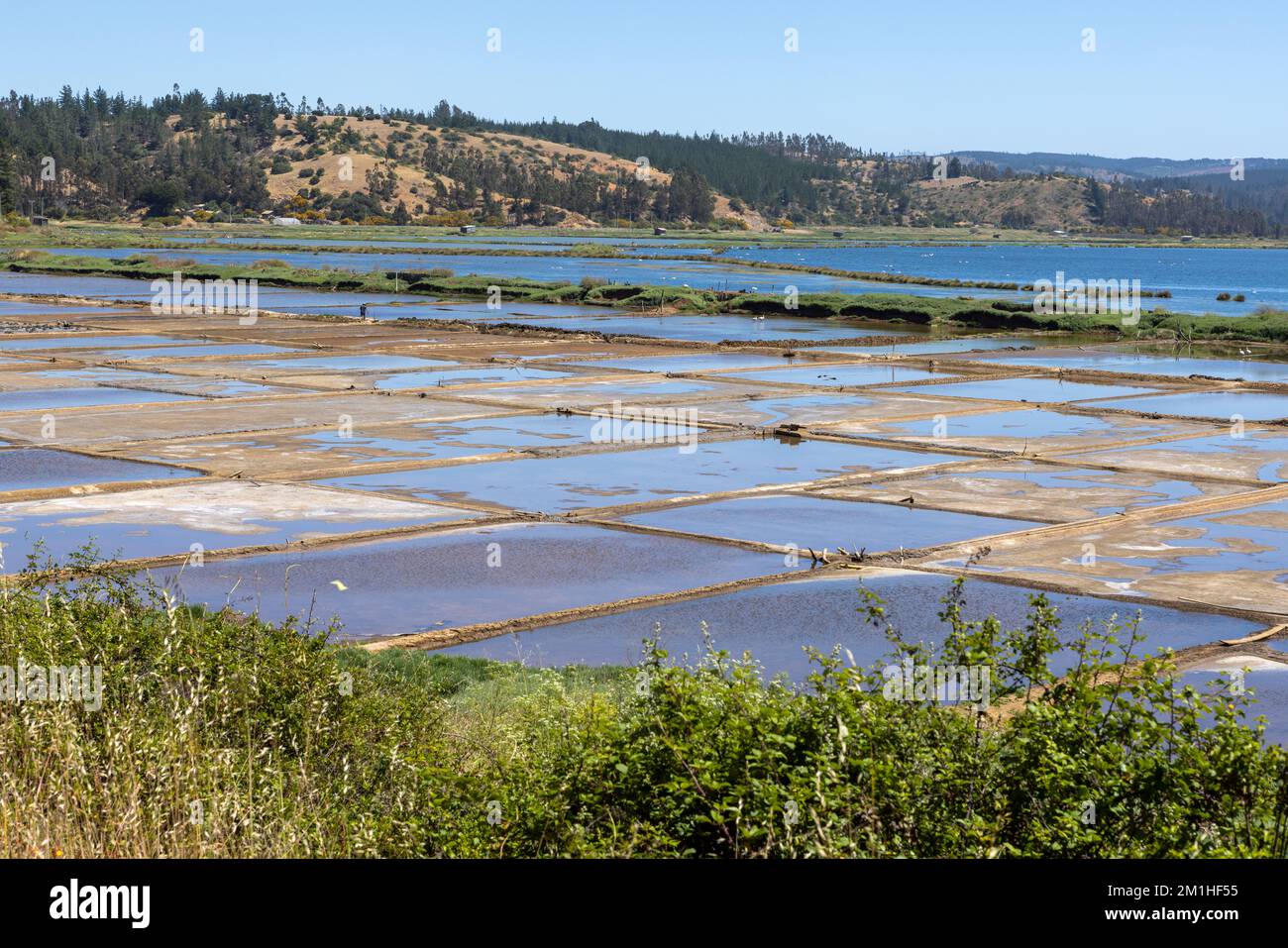 Salinas de Cáhuil and Laguna Cáhuil (Pichilemu) - Chile Stock Photo - Alamy