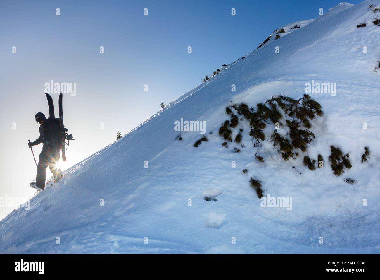 Ski tourist on a steep snow slope, active recreation in the backcountry ...