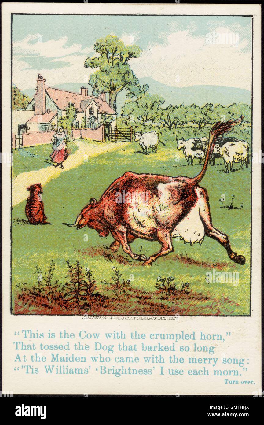 'This is the cow with the crumpled horn,' that tossed the dog that ...