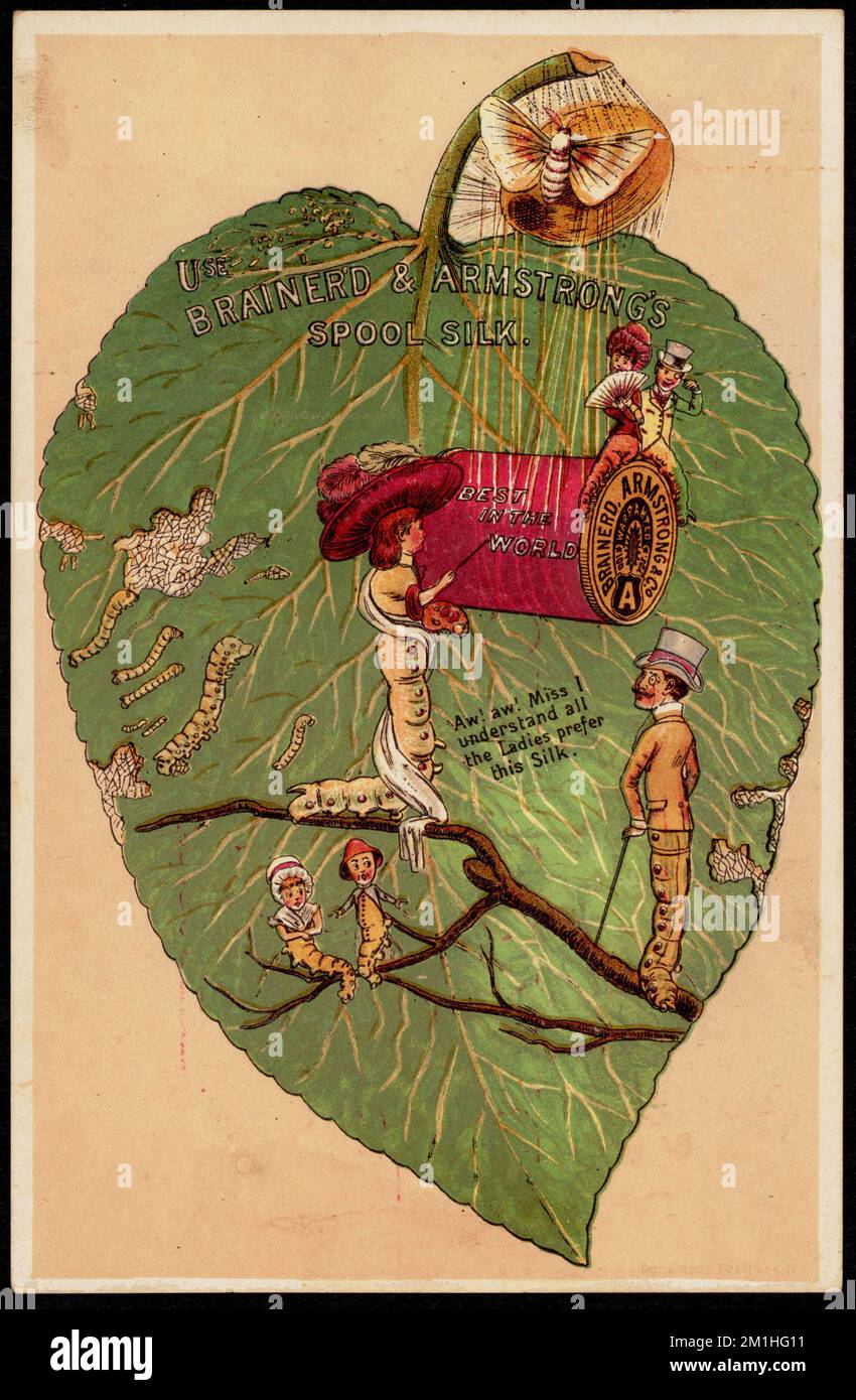 Use Brainerd & Armstrong's spool silk. Aw! Aw! Miss I understand all ...