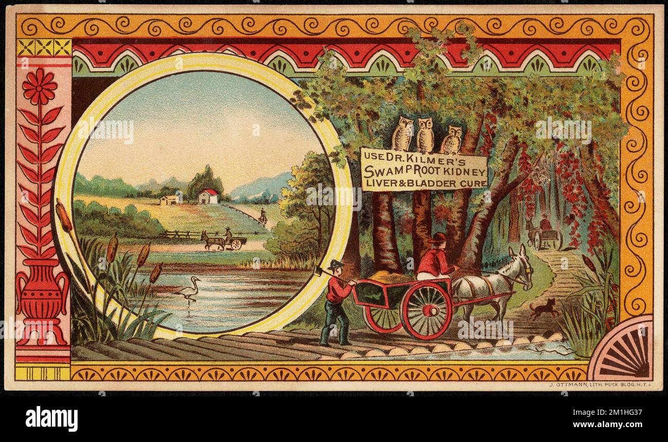 Use Dr. Kilmer's Swamp Root Kidney Liver & Bladder Cure , Men, Horses ...