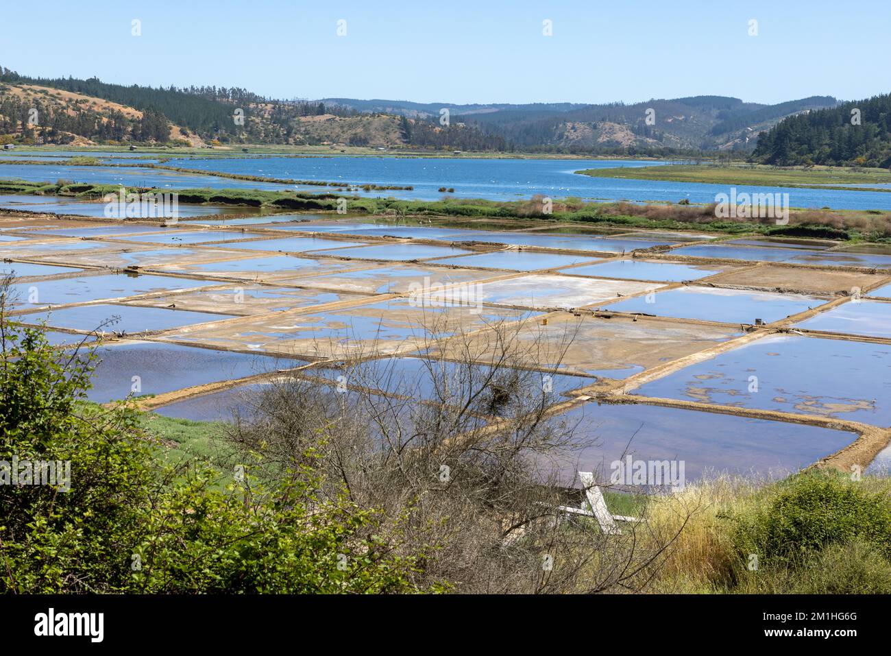 Salinas de Cáhuil and Laguna Cáhuil (Pichilemu) - Chile Stock Photo - Alamy