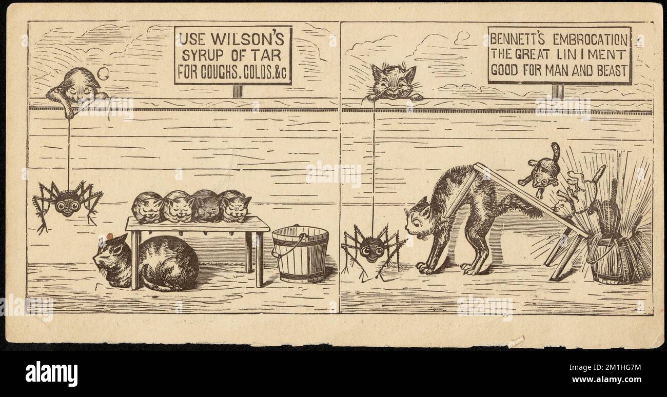 Use Wilson's Syrup of Tar for coughs, colds &c. Bennett's Embrocation ...