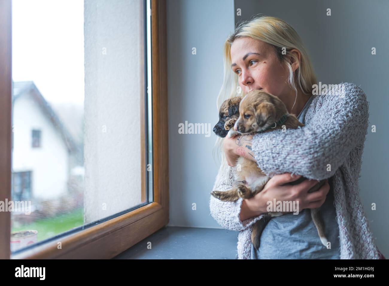 Caring female temporary house owner stands by the window holding two ...