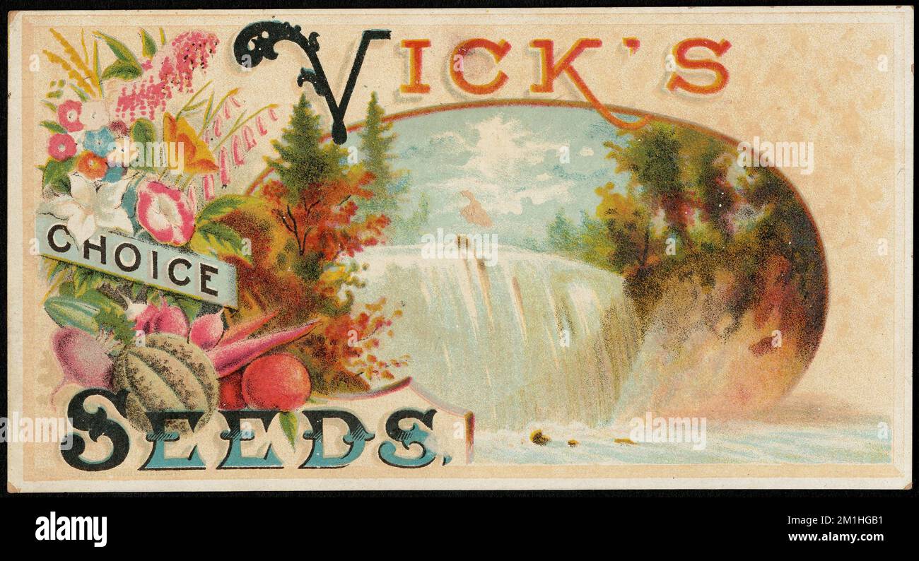 Vick's choice seeds. , Flowers, Seeds, 19th Century American Trade ...