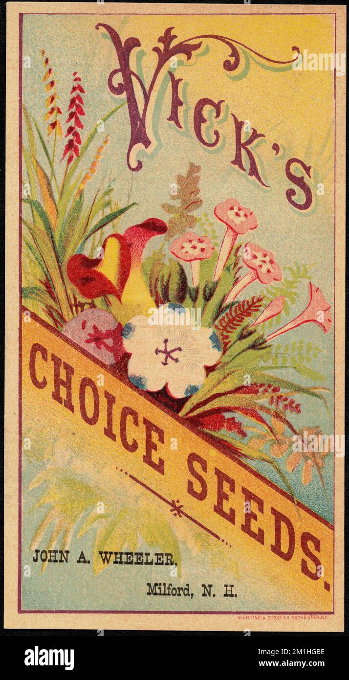 Vick's choice seeds. , Flowers, Seeds, 19th Century American Trade ...
