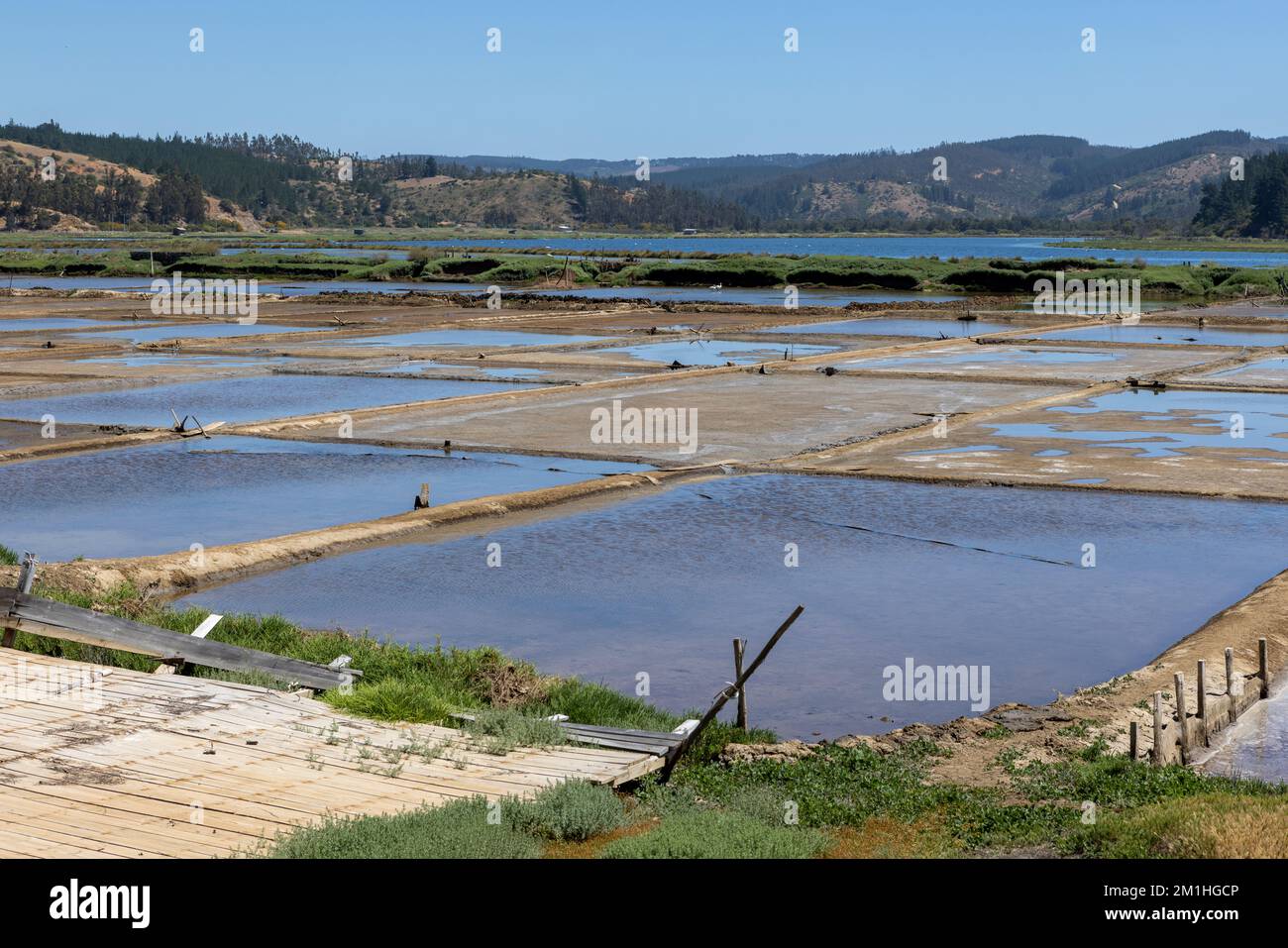 Salinas de Cáhuil and Laguna Cáhuil (Pichilemu) - Chile Stock Photo - Alamy