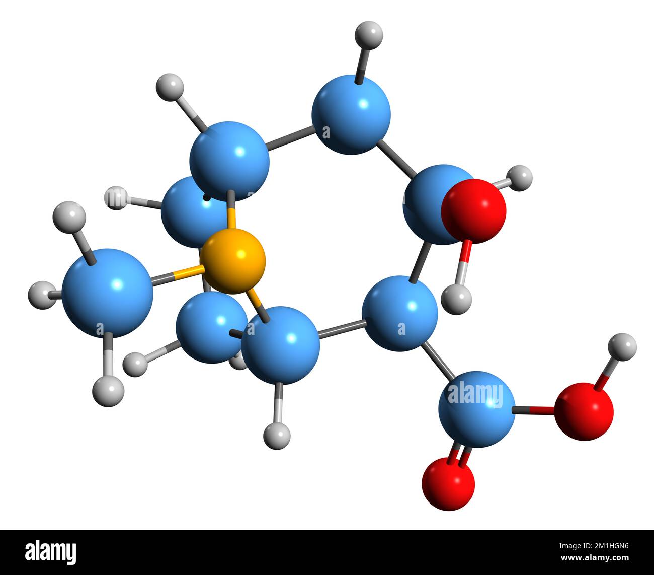 3D image of Ecgonine skeletal formula - molecular chemical structure of ...