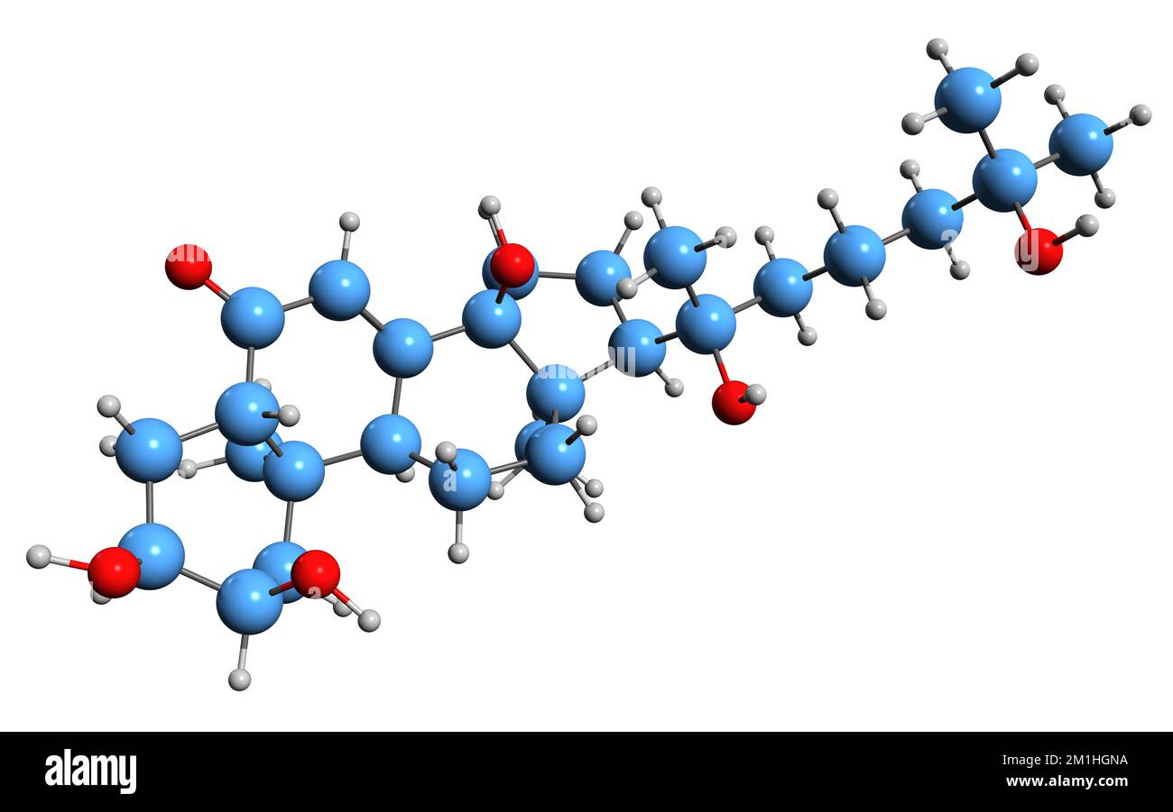 3D image of Ecdysone skeletal formula - molecular chemical structure of ...