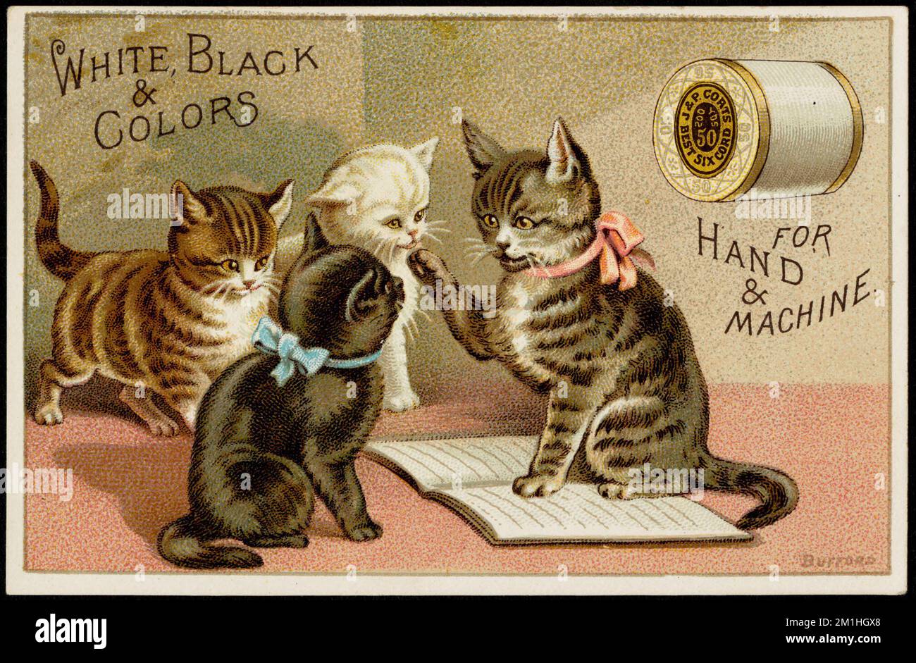 White, black & colors for hand & machine. , Cats, Books, Cotton, Thread ...