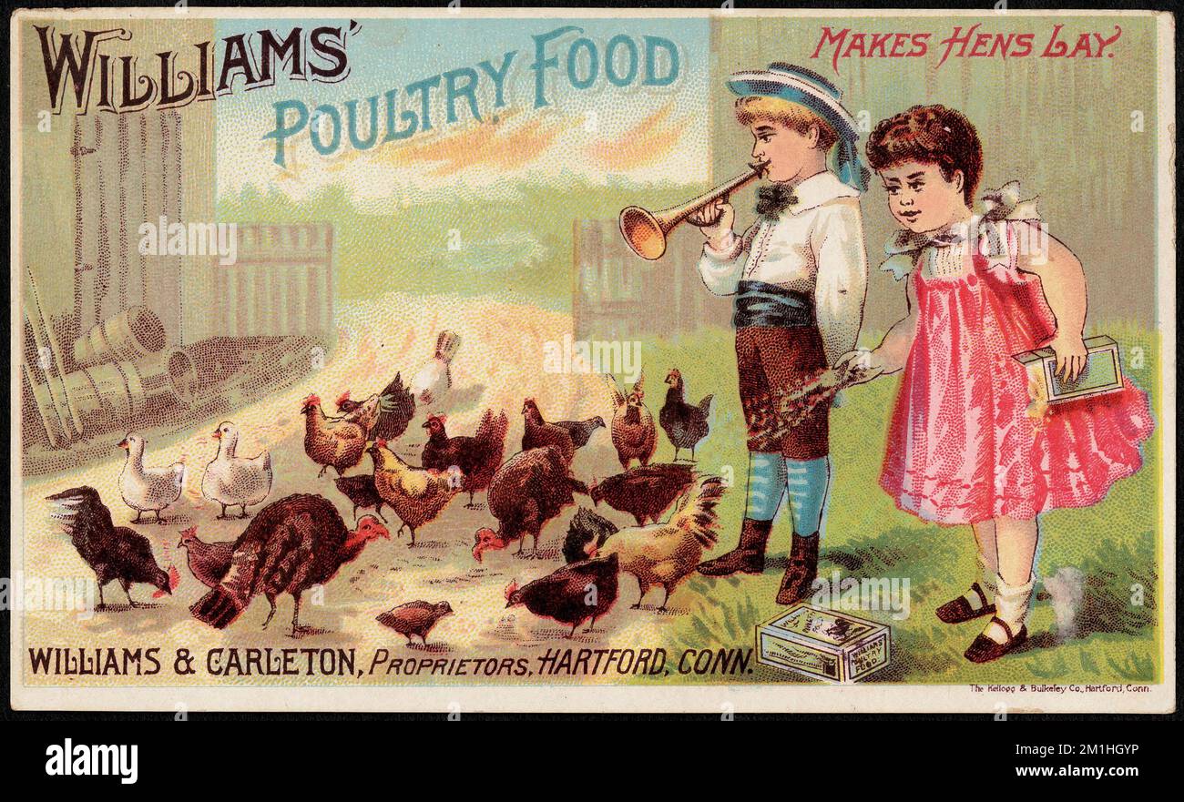 Williams' Poultry Food makes hens lay. , Children, Chickens, Food, 19th ...