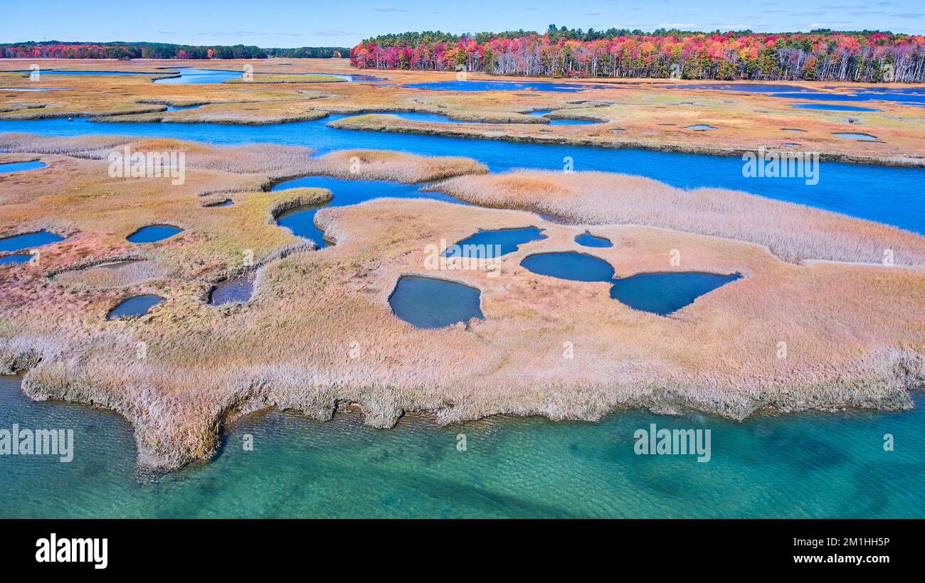 Patches of clear blue water in Maine marshes with fall forests in ...