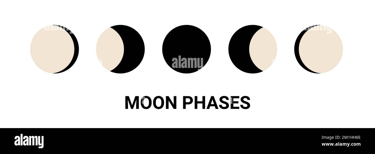Moon phase vector crescent half cycle shape illustration. Moon phase ...
