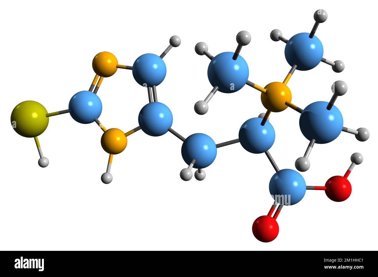 3D image of Ergothioneine skeletal formula - molecular chemical ...