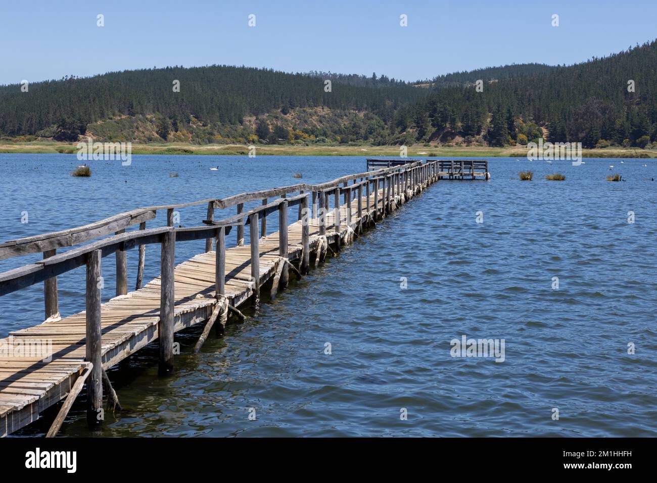 Salinas de Cáhuil and Laguna Cáhuil (Pichilemu) - Chile Stock Photo - Alamy