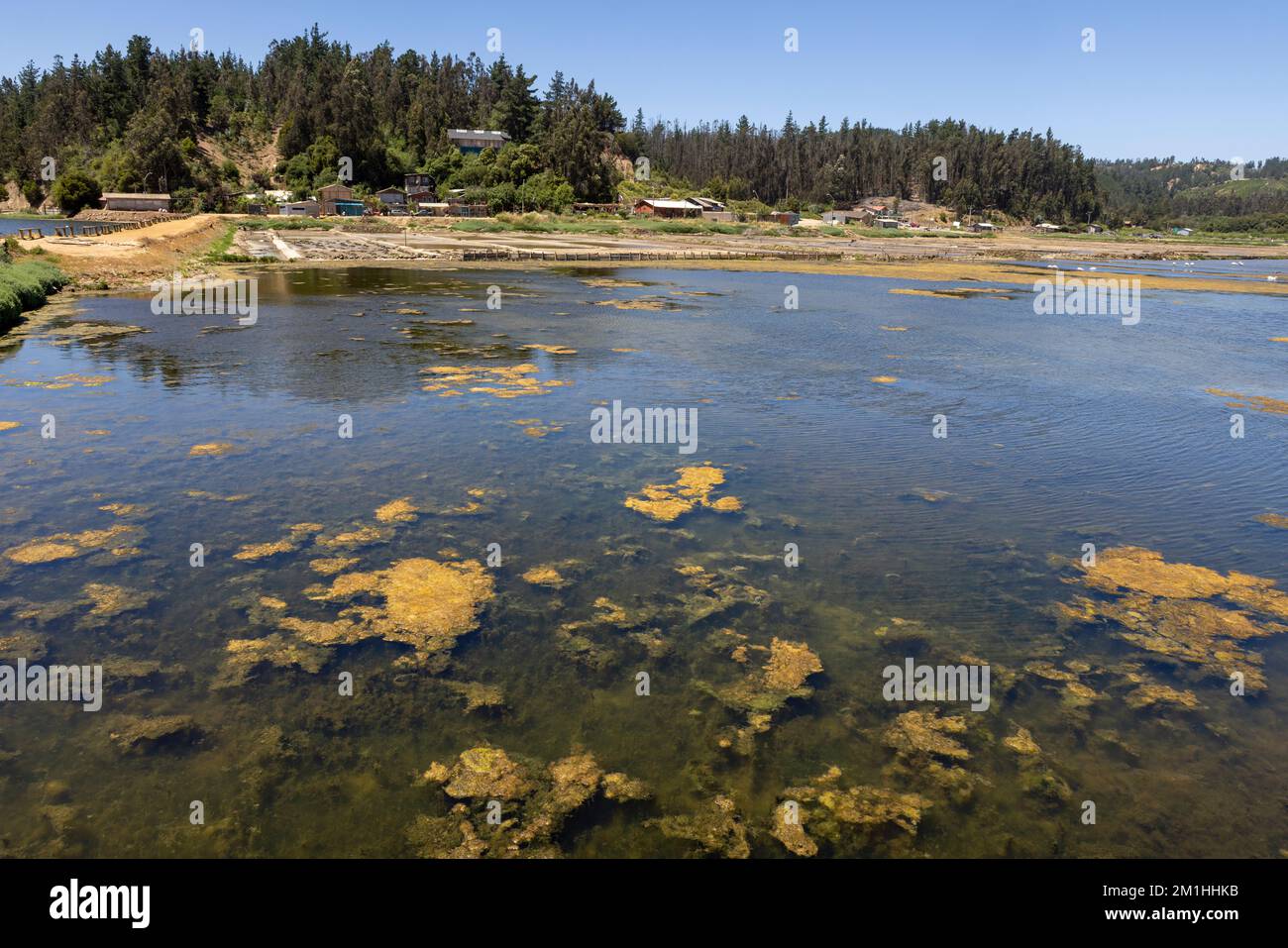 Salinas de Cáhuil and Laguna Cáhuil (Pichilemu) - Chile Stock Photo - Alamy