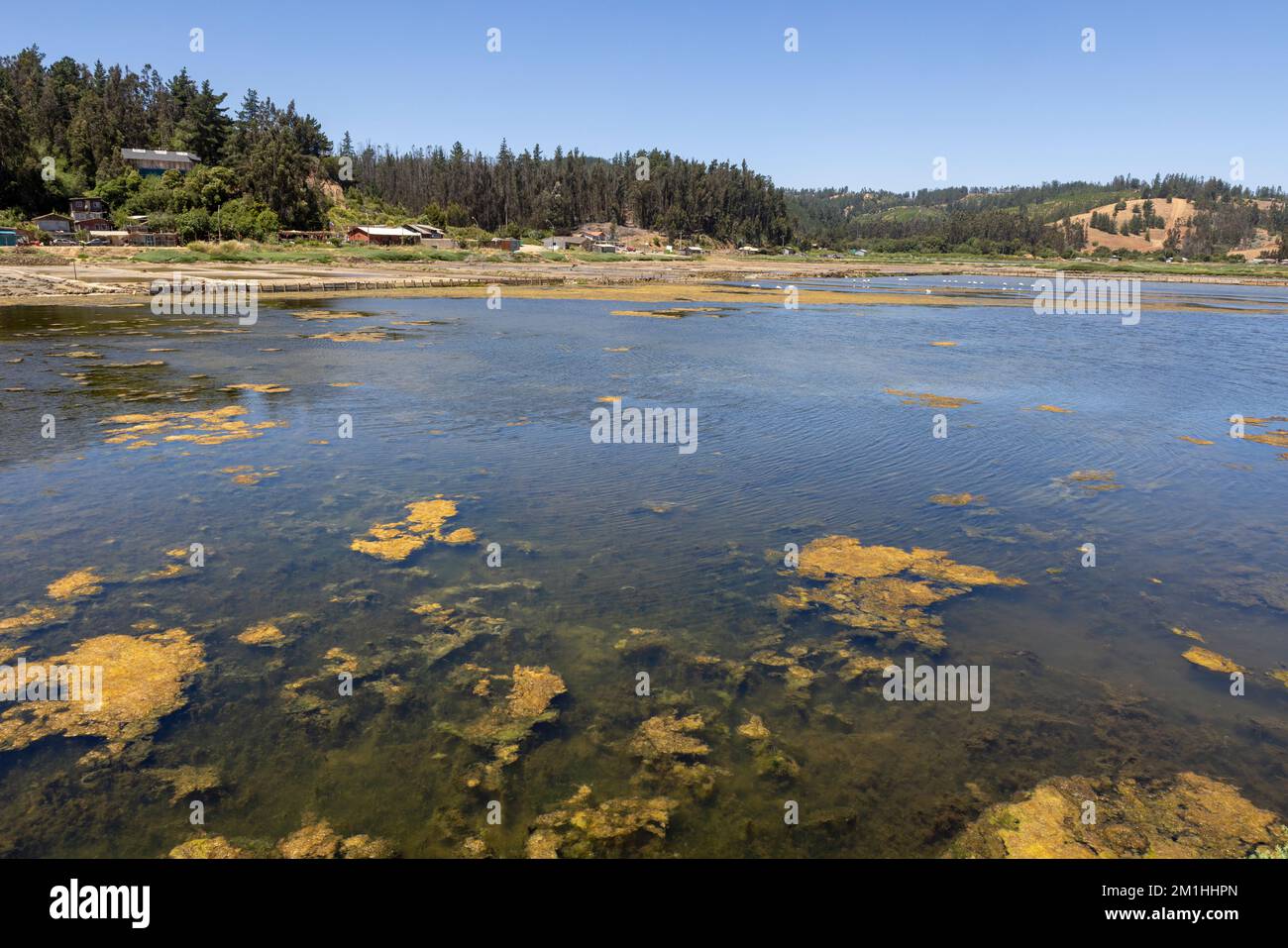 Salinas de Cáhuil and Laguna Cáhuil (Pichilemu) - Chile Stock Photo - Alamy