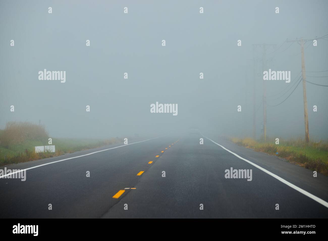 Very foggy road in morning in farmland with row of telephone poles and ...