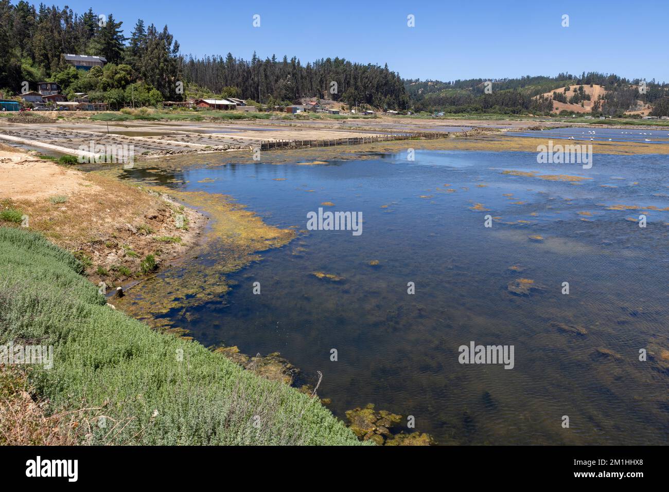 Salinas de Cáhuil and Laguna Cáhuil (Pichilemu) - Chile Stock Photo - Alamy