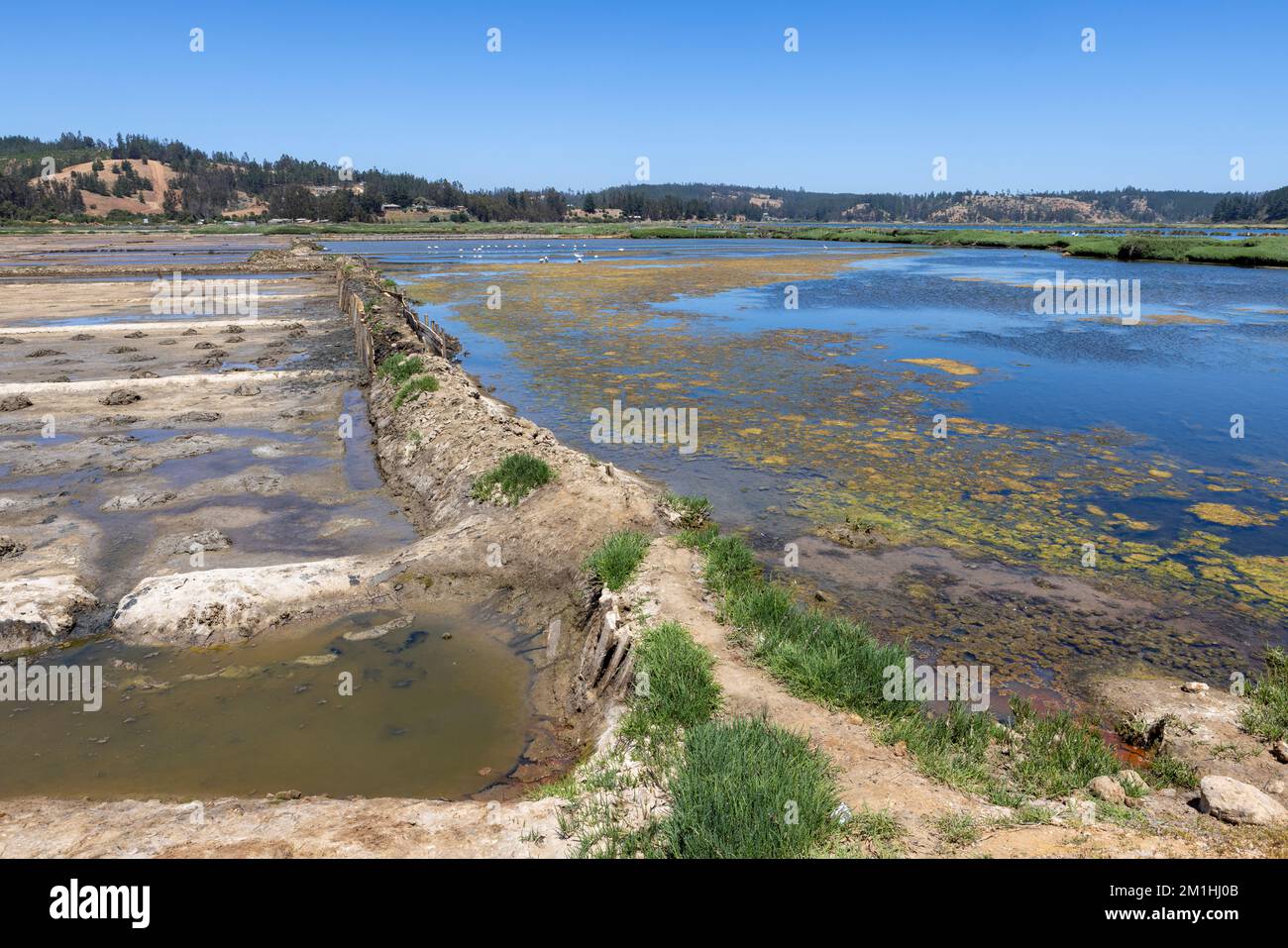 Salinas de Cáhuil and Laguna Cáhuil (Pichilemu) - Chile Stock Photo - Alamy