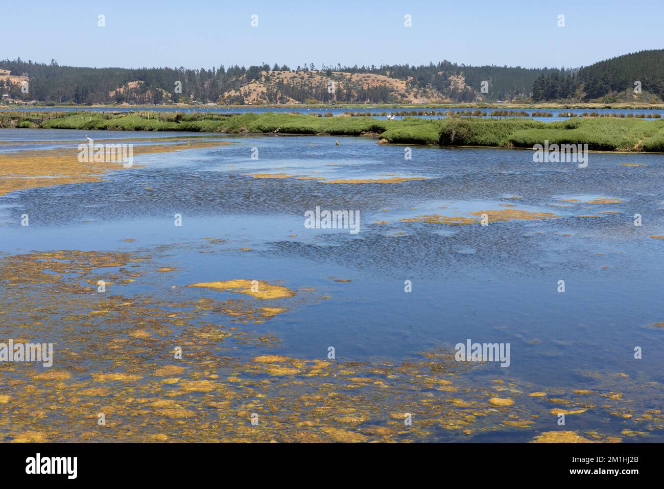 Salinas de Cáhuil and Laguna Cáhuil (Pichilemu) - Chile Stock Photo - Alamy